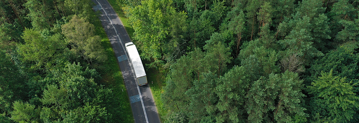 Megatrends | STS Group AG